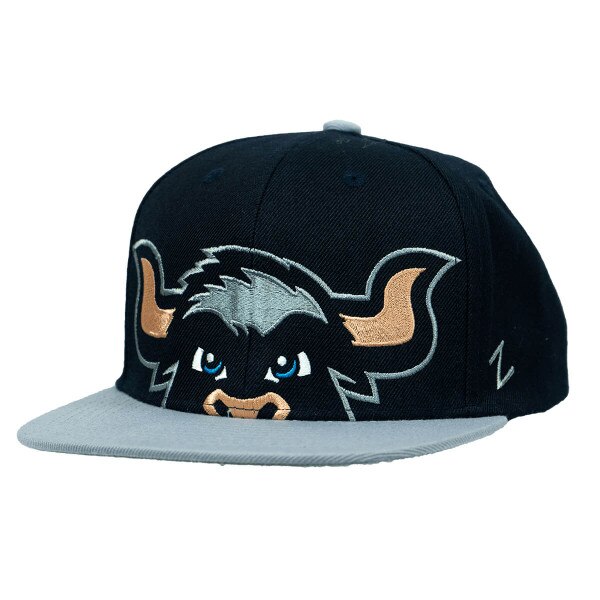 Big Blue Youth Snapback Hat | Utah State Aggies