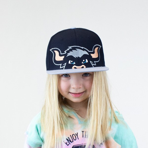 Big Blue Youth Snapback Hat | Utah State Aggies